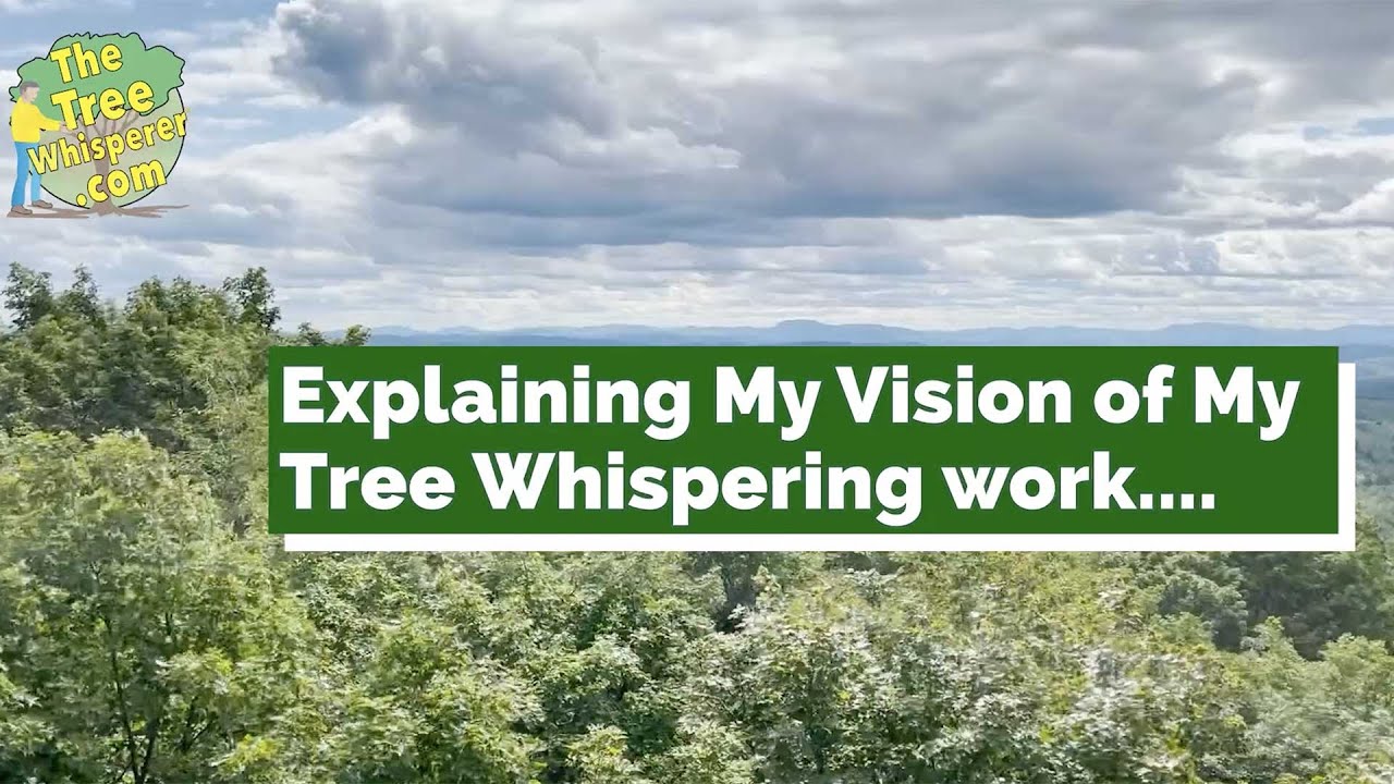 The Tree Whisperer Explains His Vision of His Tree Whispering Work