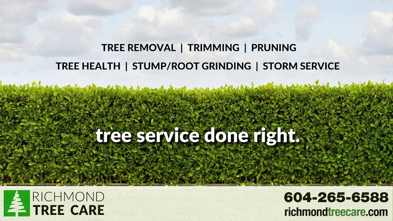 Richmond Tree Care - Your Greater Vancouver BC Tree Service Company