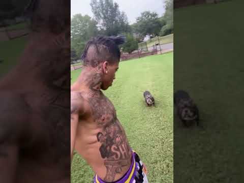 NLE CHOPPA Dog Chase Him