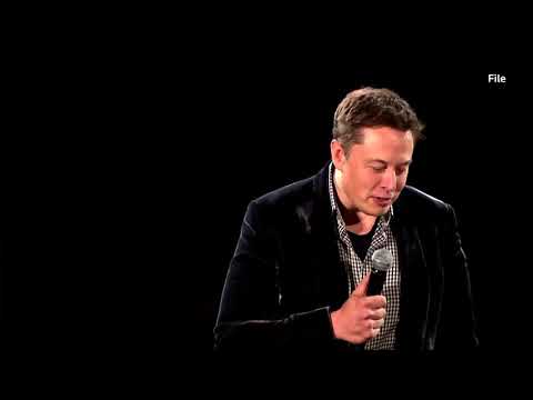 ‘Do you want Tesla to accept Doge?’ Elon Musk asks Twitter users