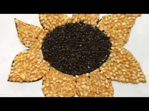 Mosaic, Definition, Examples and Tutorial making of seeds mosaic.