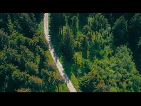 Most Beautiful Nature Short Video || Nature Video Download || Nature Short Video 720p HD