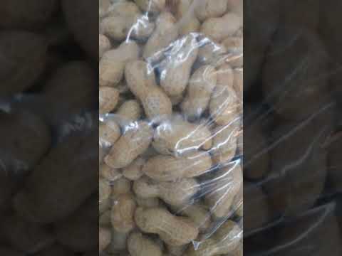 SUNG SUNG PEANUT | #shorts | Couzbladez AND Vlogz