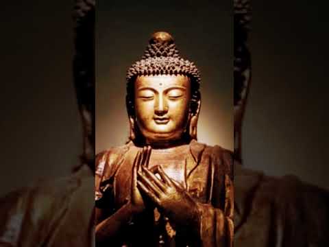 gautam Buddha #viral #trending #short #buddha #gautam #photo