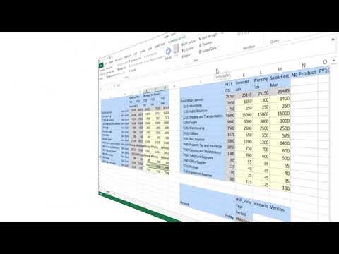 Setting Up Multiple Grids in Smart View
