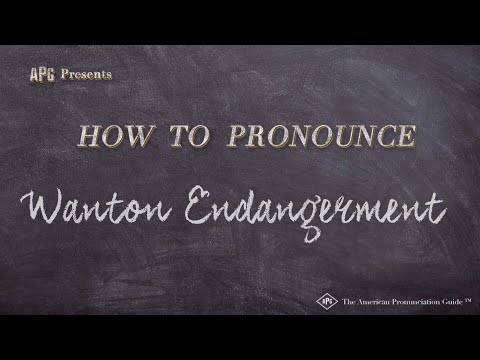 How to Pronounce Wanton Endangerment (Real Life Examples!)