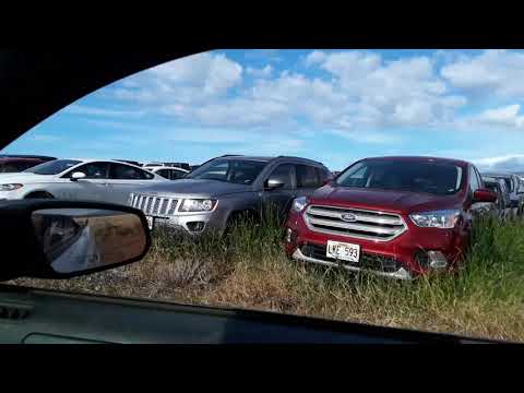 Maui Rental Cars In Storage Behind The Kahului Airport By Kevin J Olson