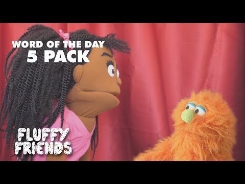 Word of the Day: 5 Pack - Falafel, Major, Carriage, Aloha, Rubbish