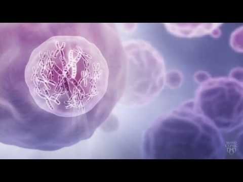 Pharmacogenomics: The Right Drug, for the Right Patient, at the Right Dose