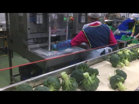 Packaging - Brimapack.com