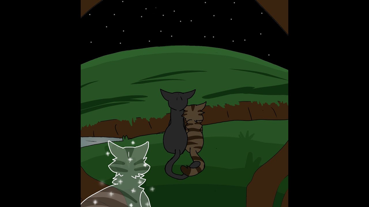 Warrior cat / small PMV