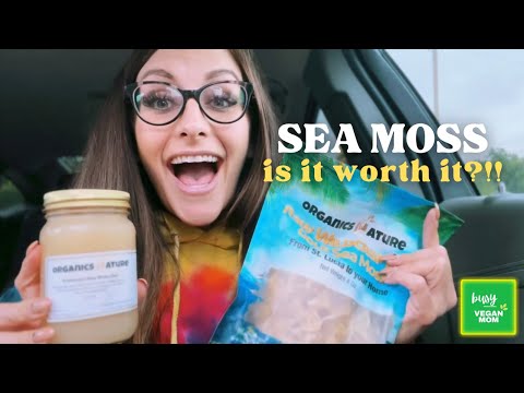 SEA MOSS REVIEW // Organics Nature β€