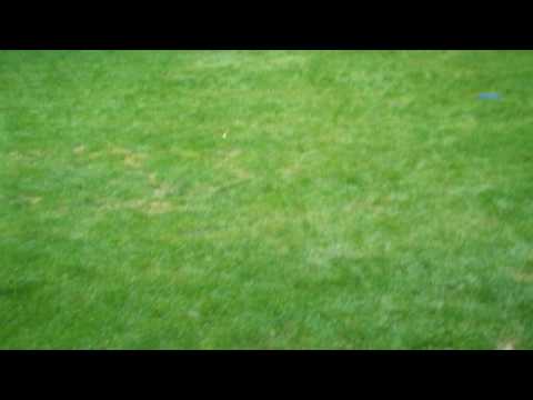 Stoop Ball | Walk Memory Lane