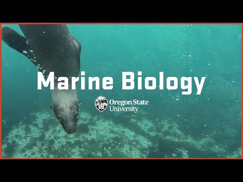 Dive into marine biology at Oregon State University
