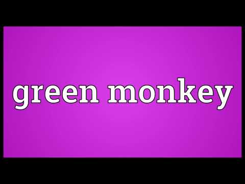 Green monkey Meaning | Wordogram