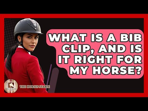 What Is A Bib Clip, And Is It Right For My Horse? - The Horses Stable
