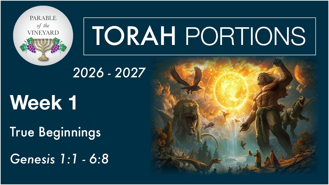 Torah Portion Week 1 - Genesis 1:1 - 6:8 (True Beginnings of Life)  2026 - 2027