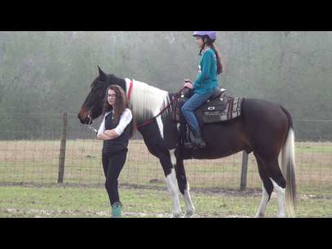 Alex and Lulu Volunteering at Horses With A Mission