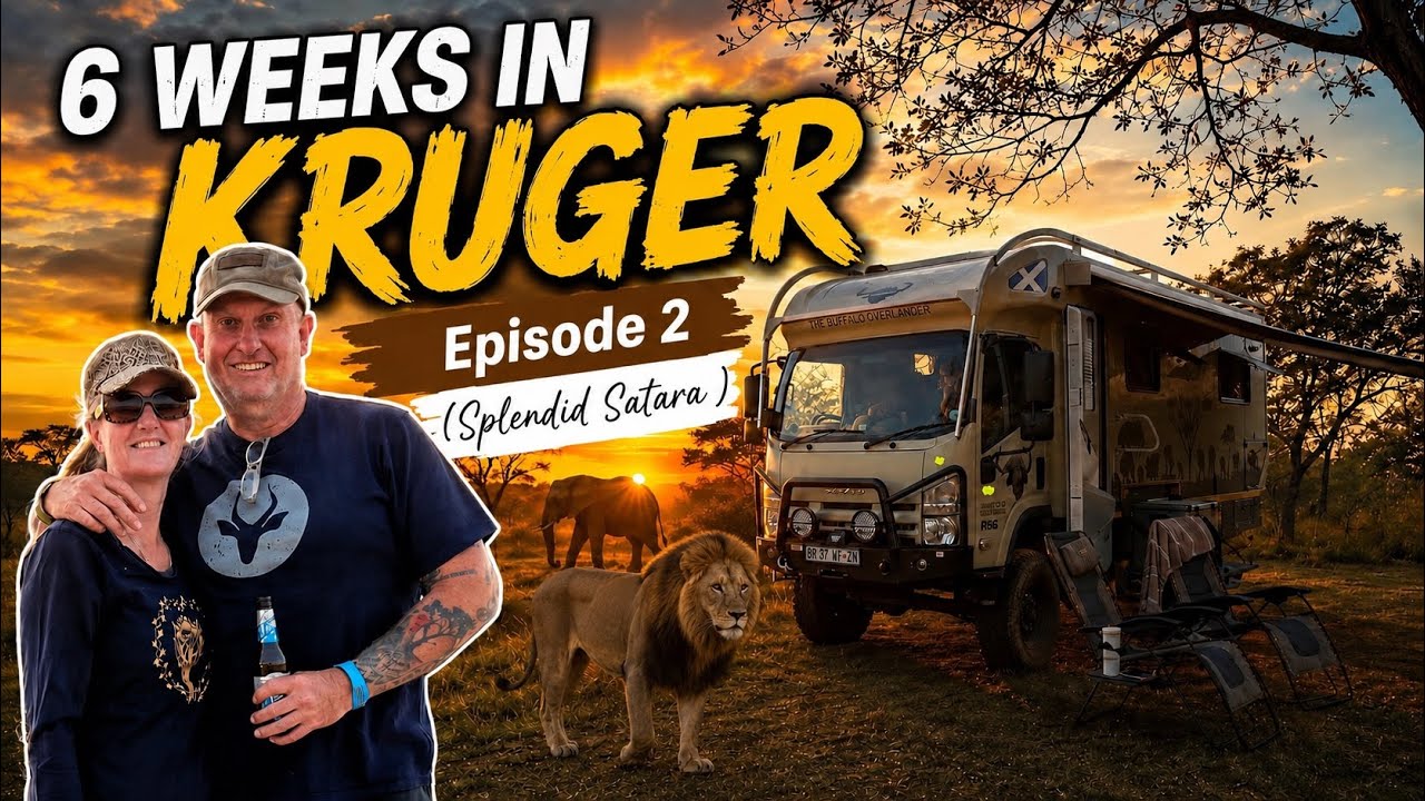 6 Weeks in Kruger:- Episode 2 (Satara Splendour)