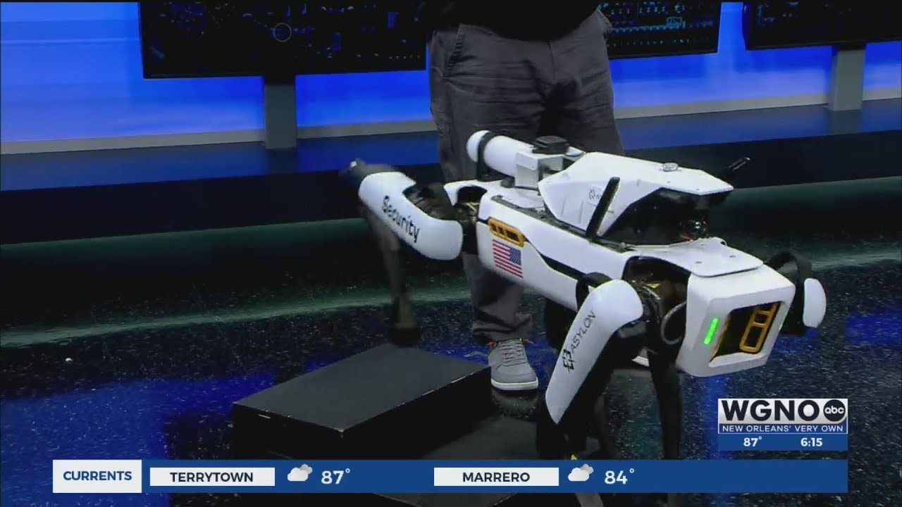 Drone Dog is a high tech 'Man's Best Friend' robot watchdog
