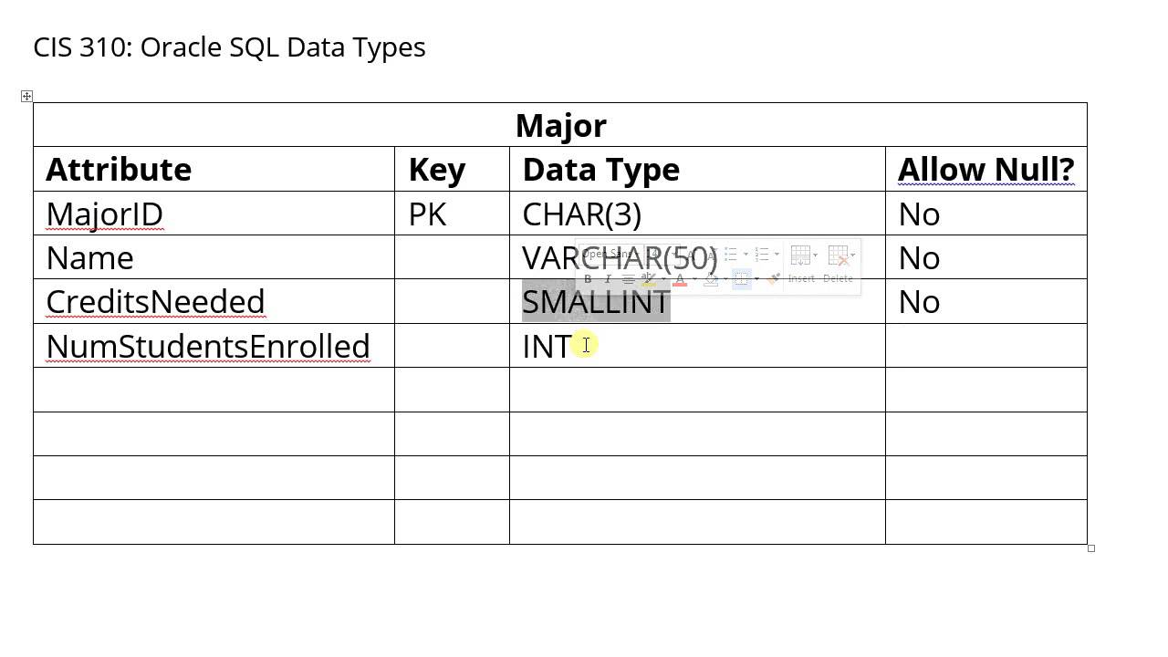 ISM 310 Oracle SQL Data Types