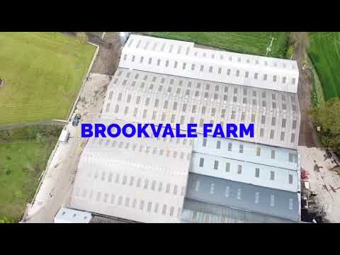 4 ROBOT DRONE VIDEO