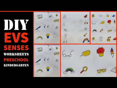 DIY 5 Senses worksheet | kindergarten worksheets | LKG UKG | #shorts #1minworksheet #diy #homeschool