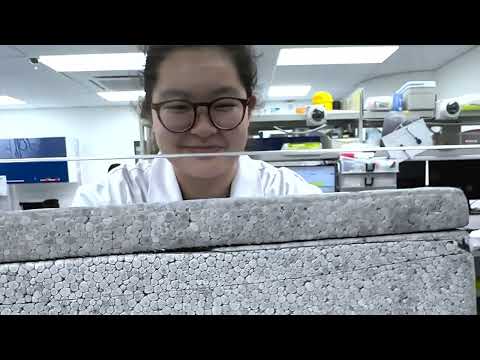 NovogeneAIT Genomics Singapore Lab