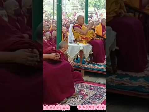 Dalai Lama offering prayers at Bodhgaya🙏🙏🌸🙏 #dalailamalesson #buddhistmantra #shortsfeed #lama