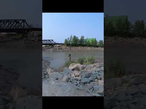Ship creek AK time lapse: King salmon and 20 ft tides