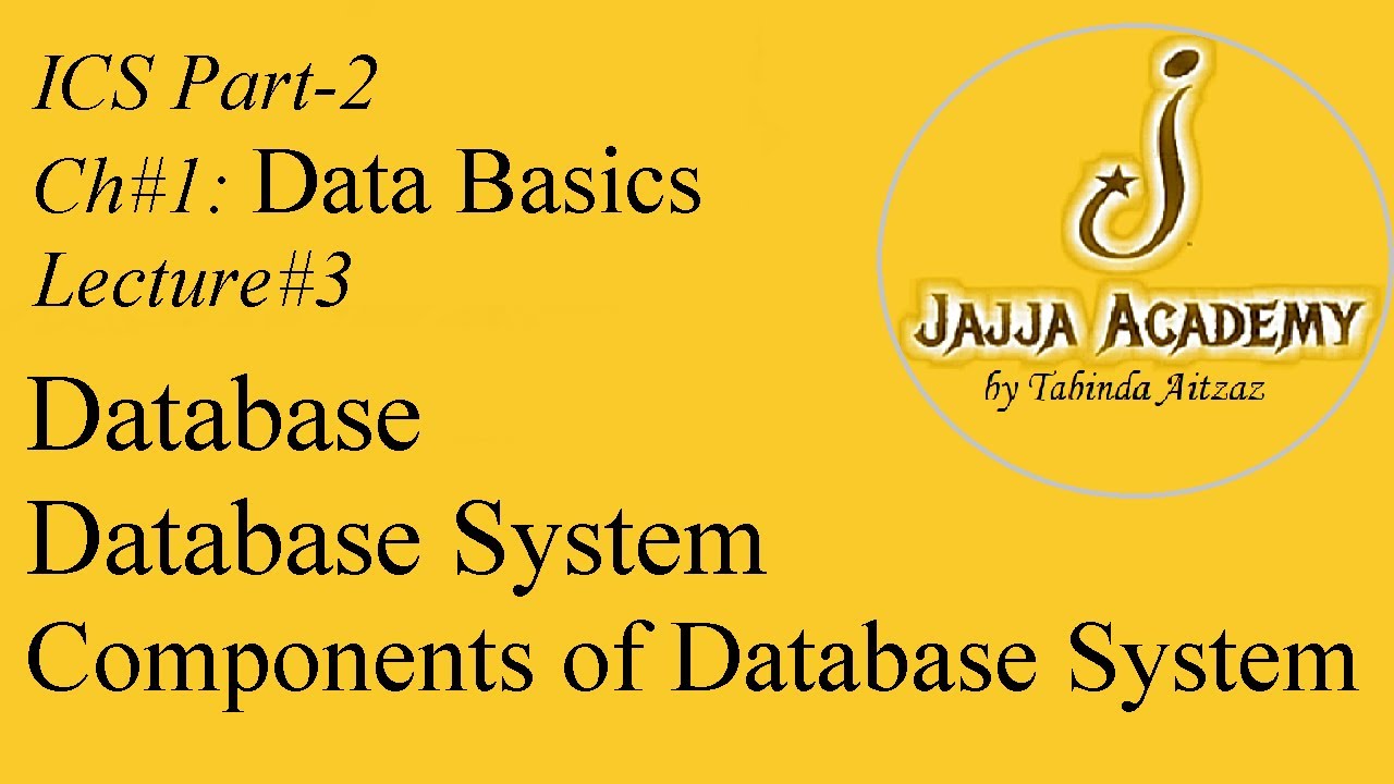 Database| Database System| Database Components| ICS Computer Part 2