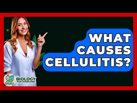 What Causes Cellulitis? - Biology For Everyone