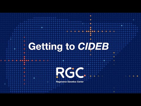 Getting to CIDEB