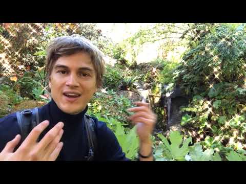 Running Water in the Garden: A Divine Feature