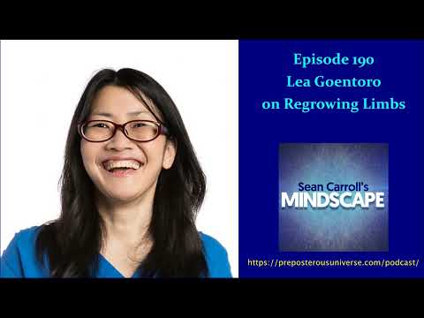 Mindscape 190 | Lea Goentoro on Regrowing Limbs