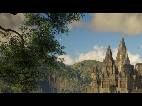 Steam Community :: Video :: Spring Hogwarts #hogwartslegacy