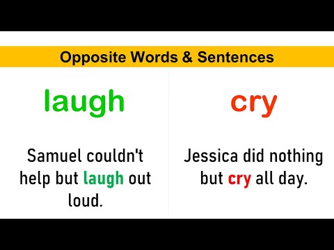 Opposite Words With Sentences, Basic Opposite Antonym Words and Example Sentences