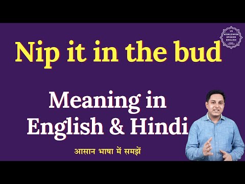 What does "Nip it in the bud" mean? Explained meaning of "Nip it in the bud" in English and Hindi