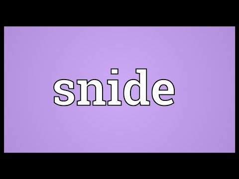 Snide Meaning