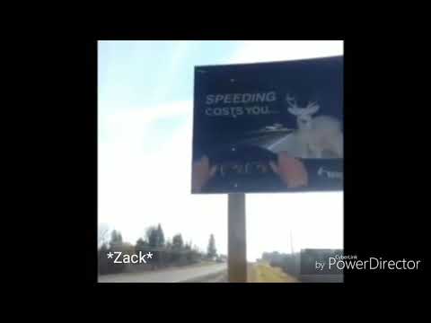 Angel's of Death Characters as vines pt. 2