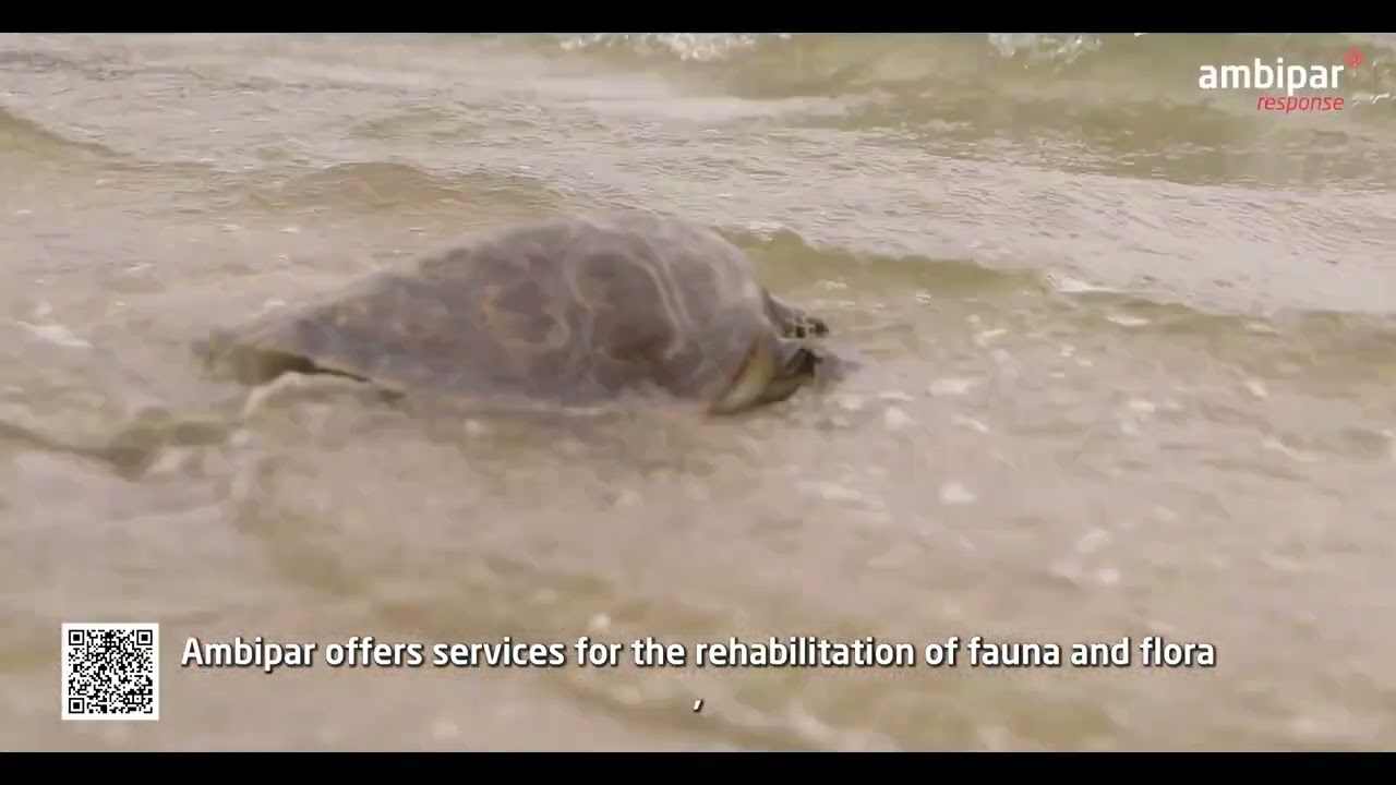 Ambipar Response - Environmental Response