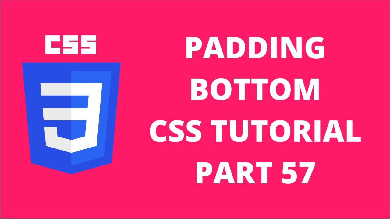 Padding Bottom Property CSS | CSS Tutorial Part 57