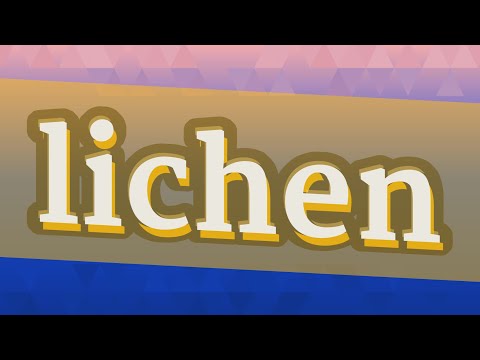 LICHEN pronunciation โข How to pronounce LICHEN