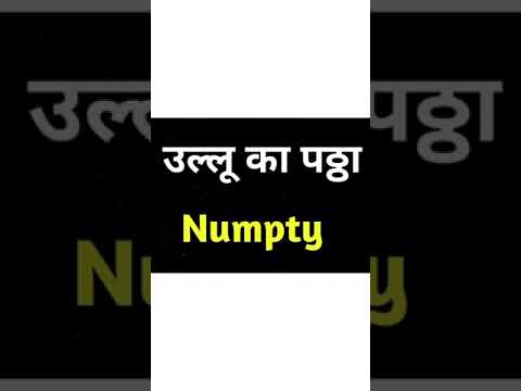 ULLU ka pattha meaning in English || ULLU ka pattha ko kya bolte English main?
