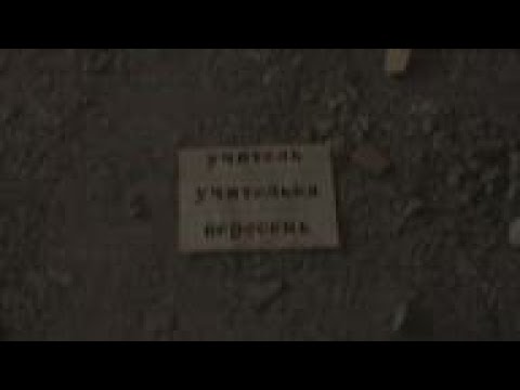 Ukraine school librarian salvages books after attack