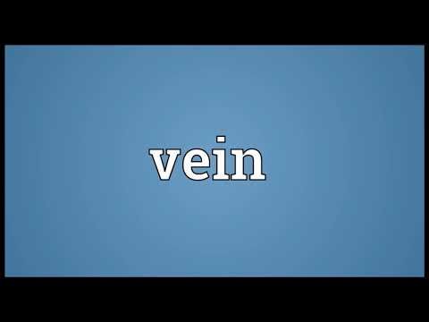 vein meaning in English