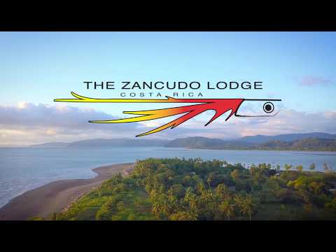 Zancudo Lodge - Costa Rica's #1 Sportfishing Lodge