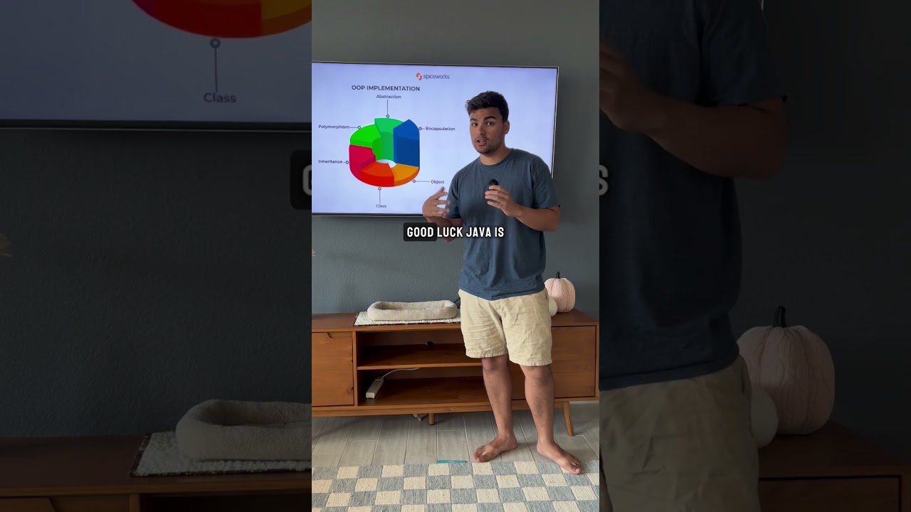 Why Software Engineers hate Java