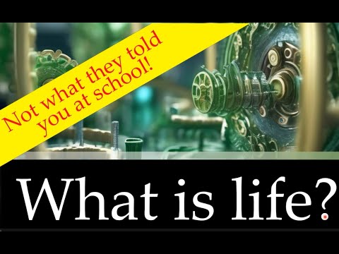 What is life and how does it work? The mechanism explained