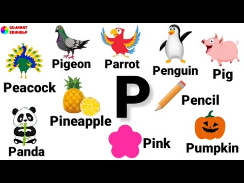 P Letter words in English | Words starting with Letter P | P Letter words with pictures